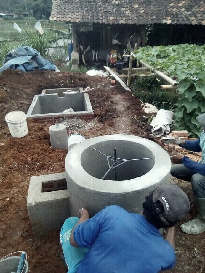Cow Dung Biogas