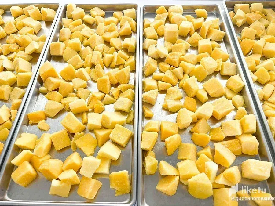 The Art Of Freeze Drying Food