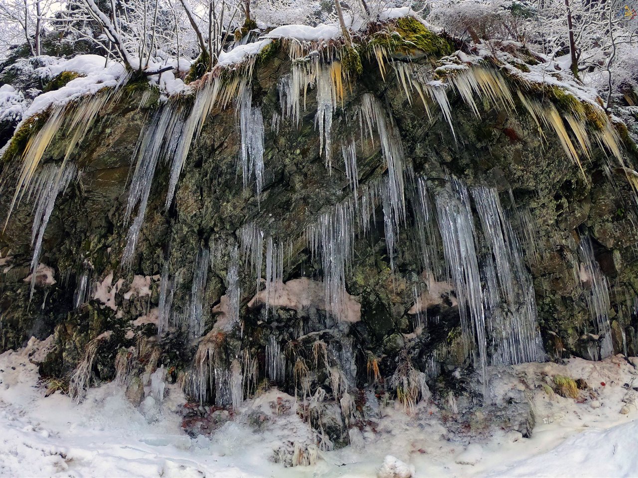 Cheile Jiețului (Jieț Gorges) – Gabriela Travels