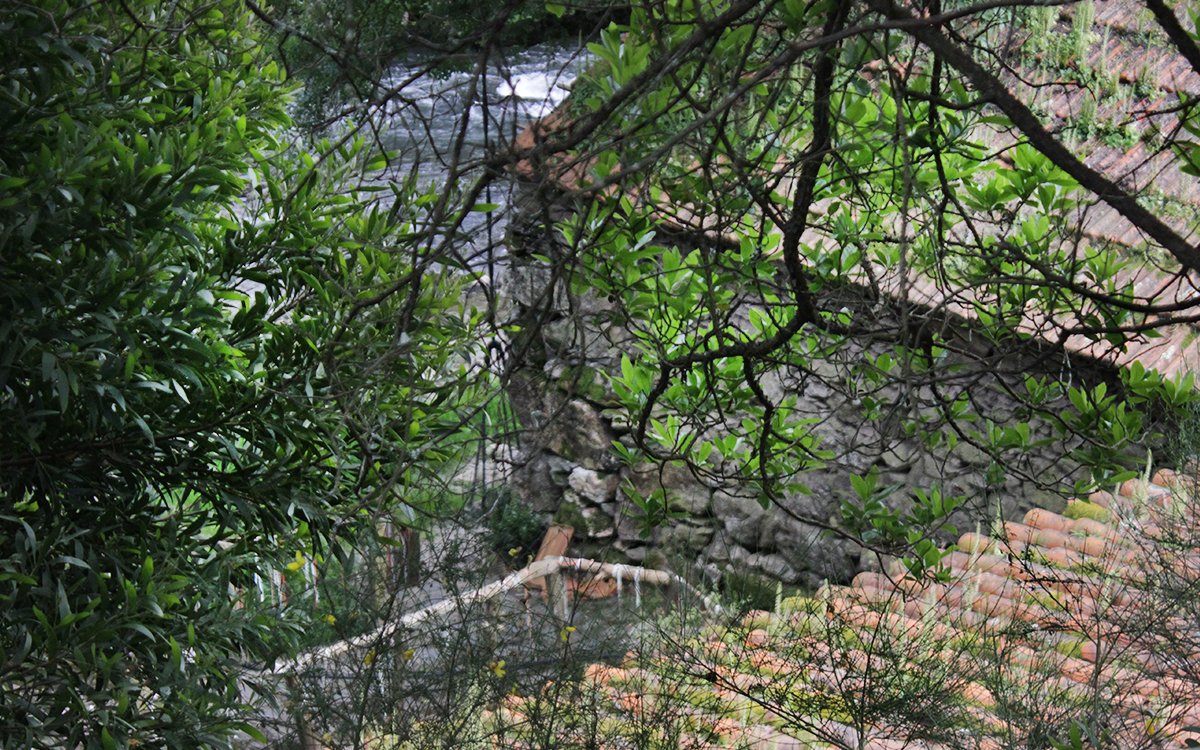 Trip to Couce - Taberna da Avó - Valongo | Portugal