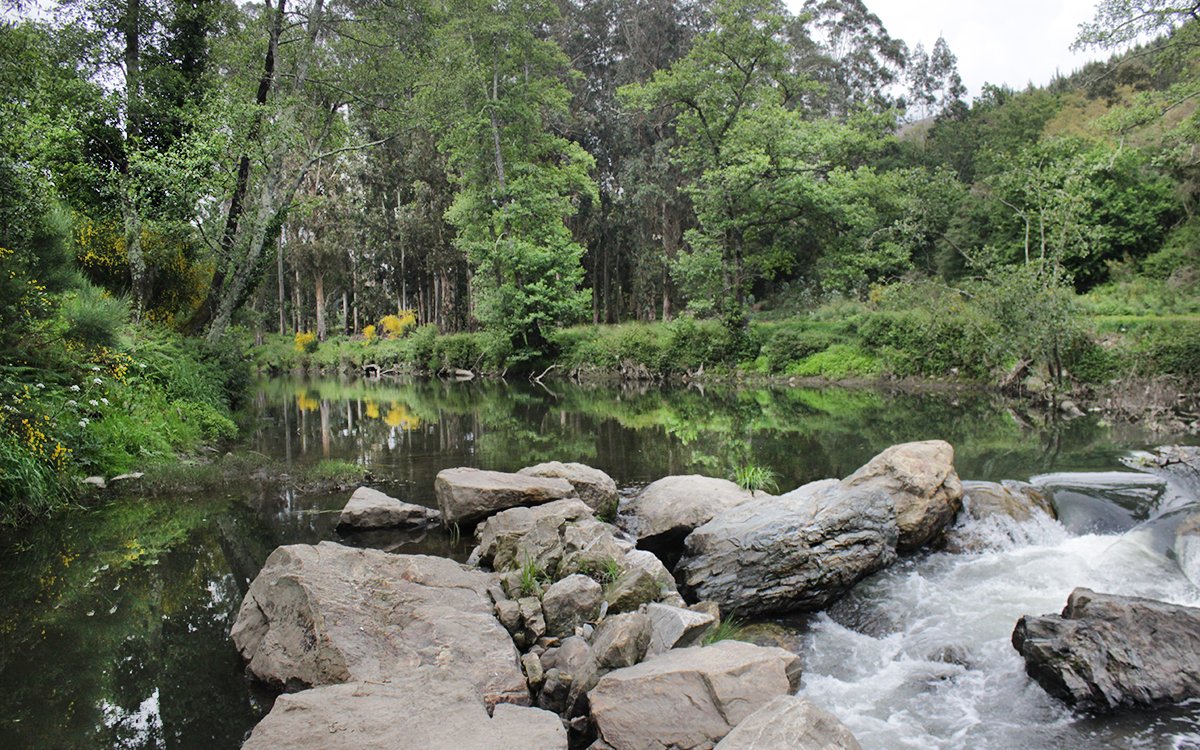 Trip to Couce - Taberna da Avó - Valongo | Portugal
