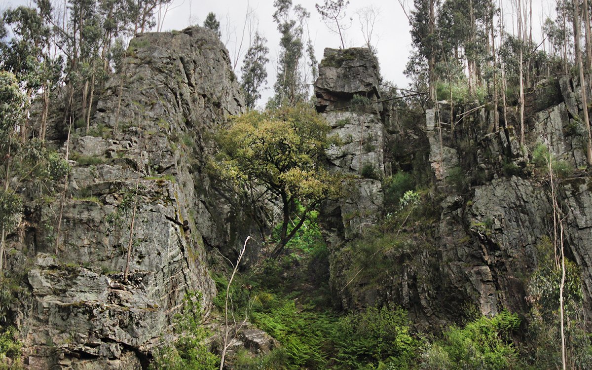 Trip to Couce - Escarpas da Serra - Valongo | Portugal