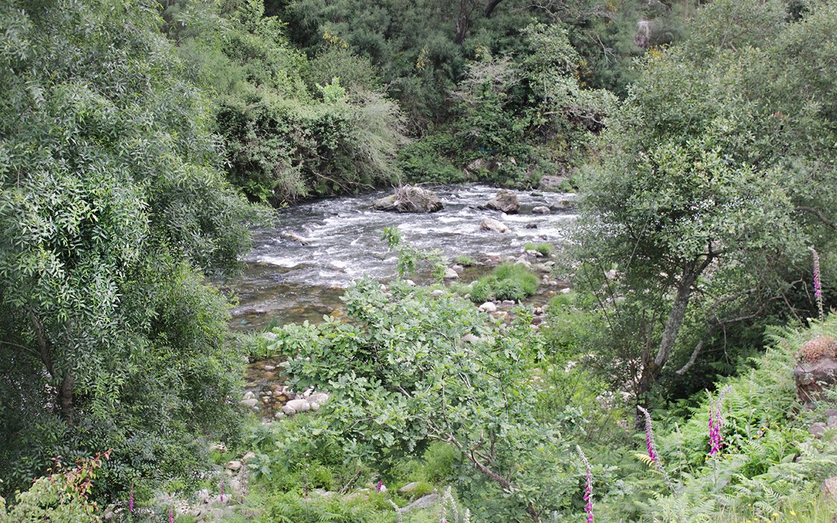 Trip to Couce - Taberna da Avó - Valongo | Portugal