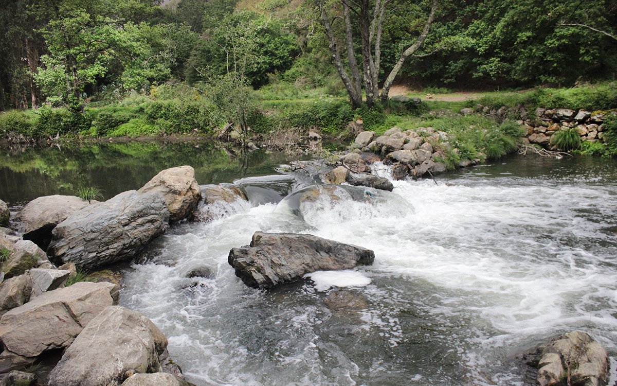 Trip to Couce - Taberna da Avó - Valongo | Portugal