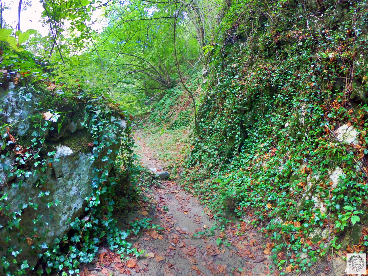 Cheile Crivadiei (Crivadia Gorges) – Gabriela Travels