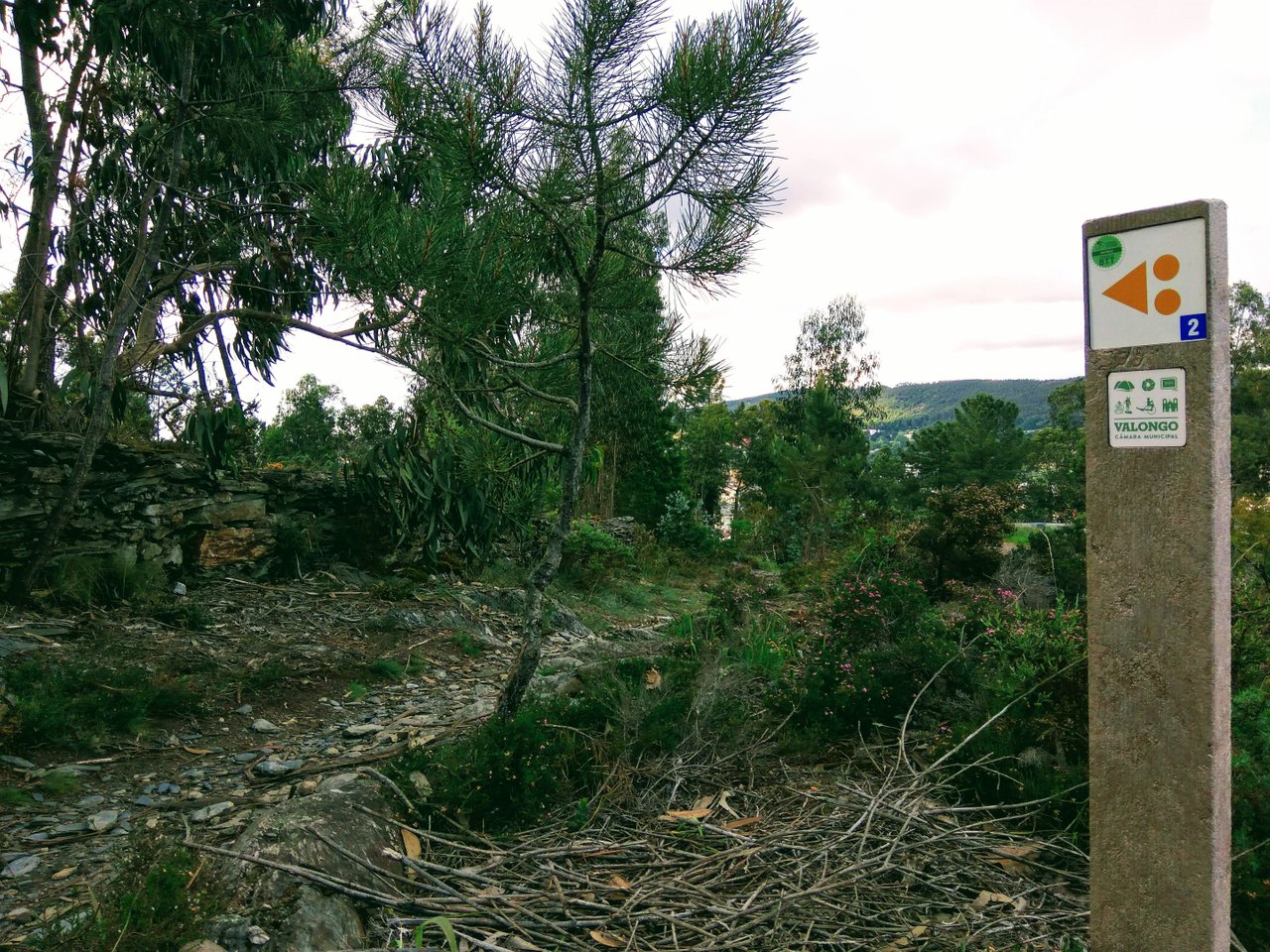 Portugal - Valongo Valleys