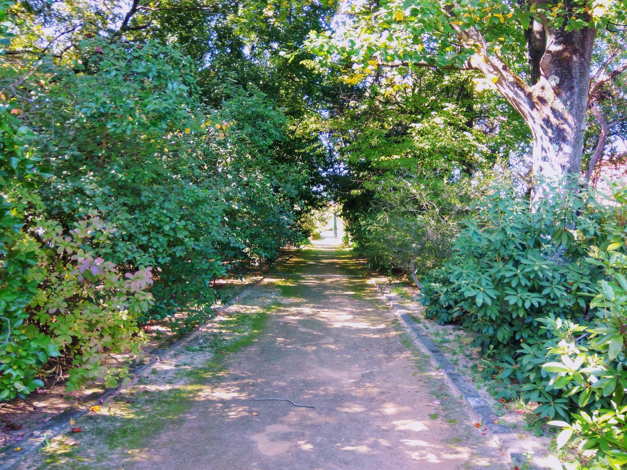 Trip to Portugal - Botanical garden of Porto #2