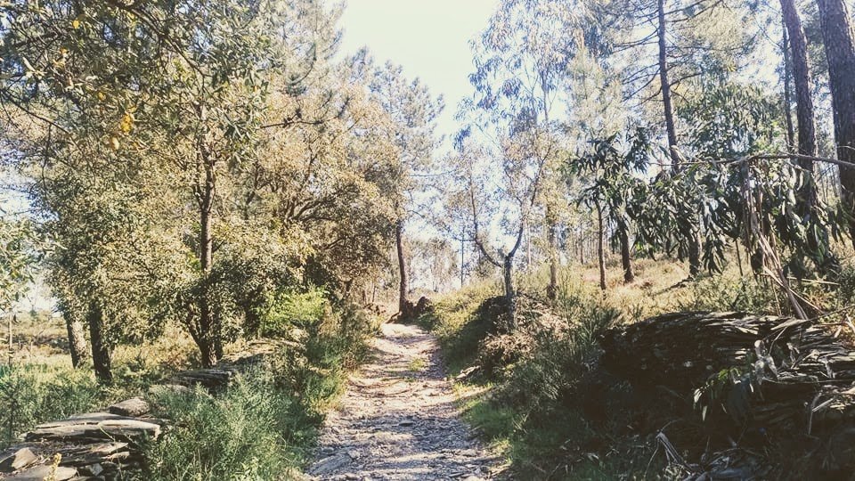 Trip to Portugal - Santa Justa, Valongo - Porto