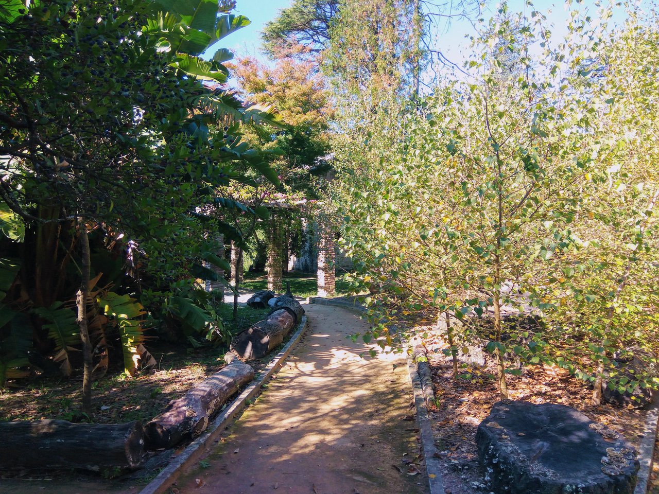 Trip to Portugal - Botanical garden of Porto #2