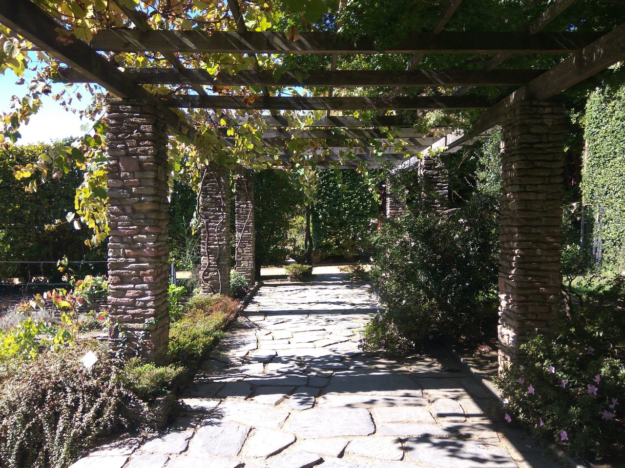 Trip to Portugal - Botanical garden of Porto