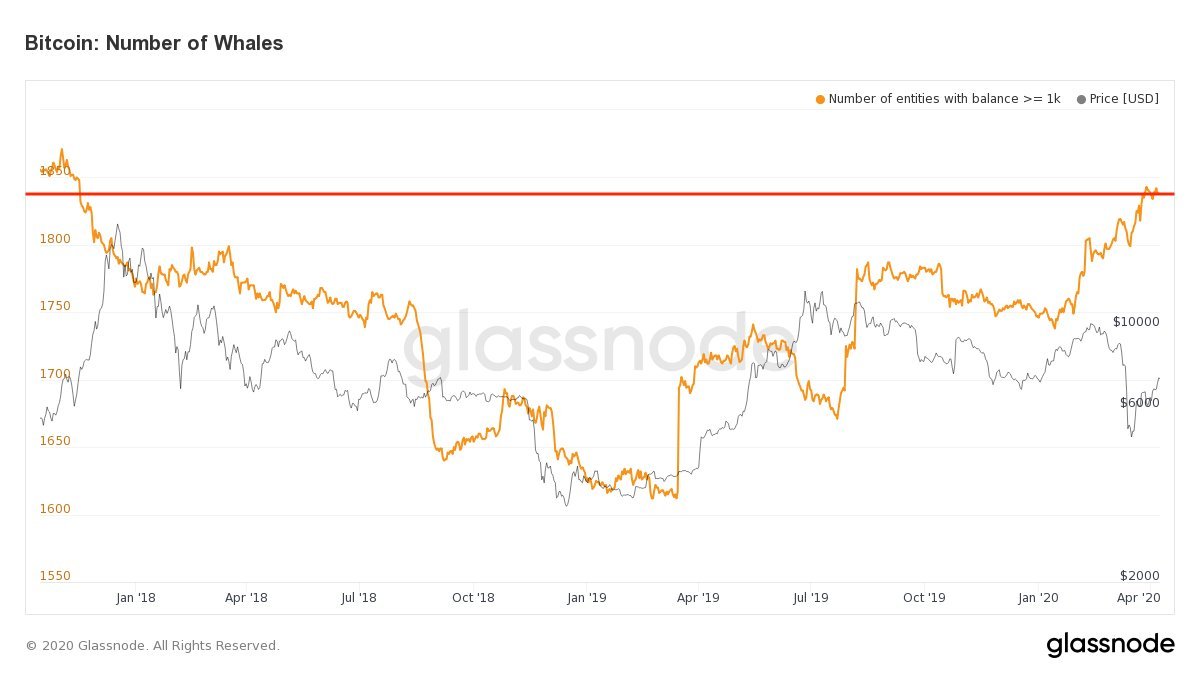 BTC Whales bought the DIP! See the chart! 🤑