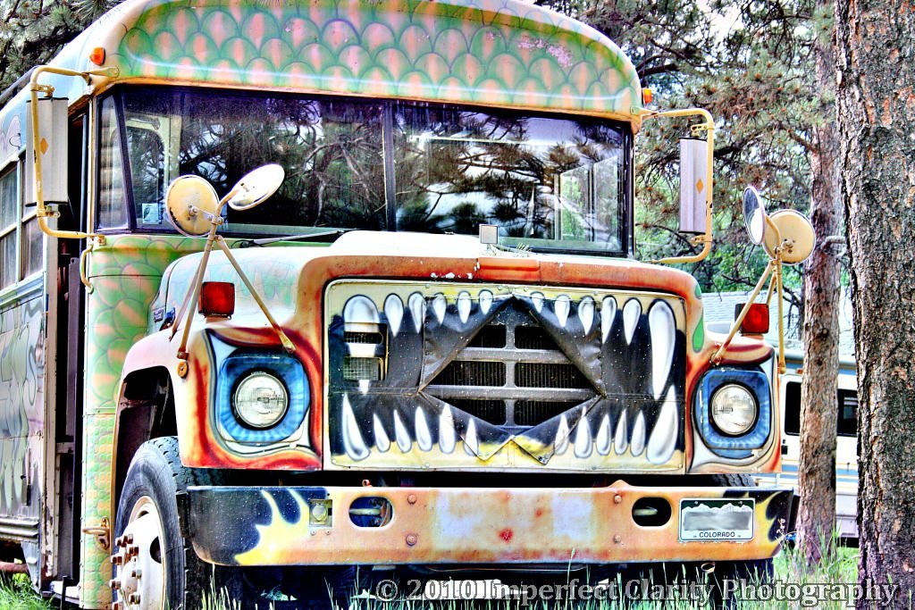 Abandoned School Bus