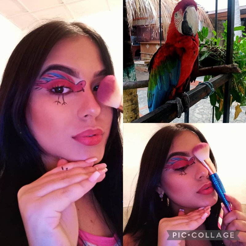 Parrot Inspired Makeup