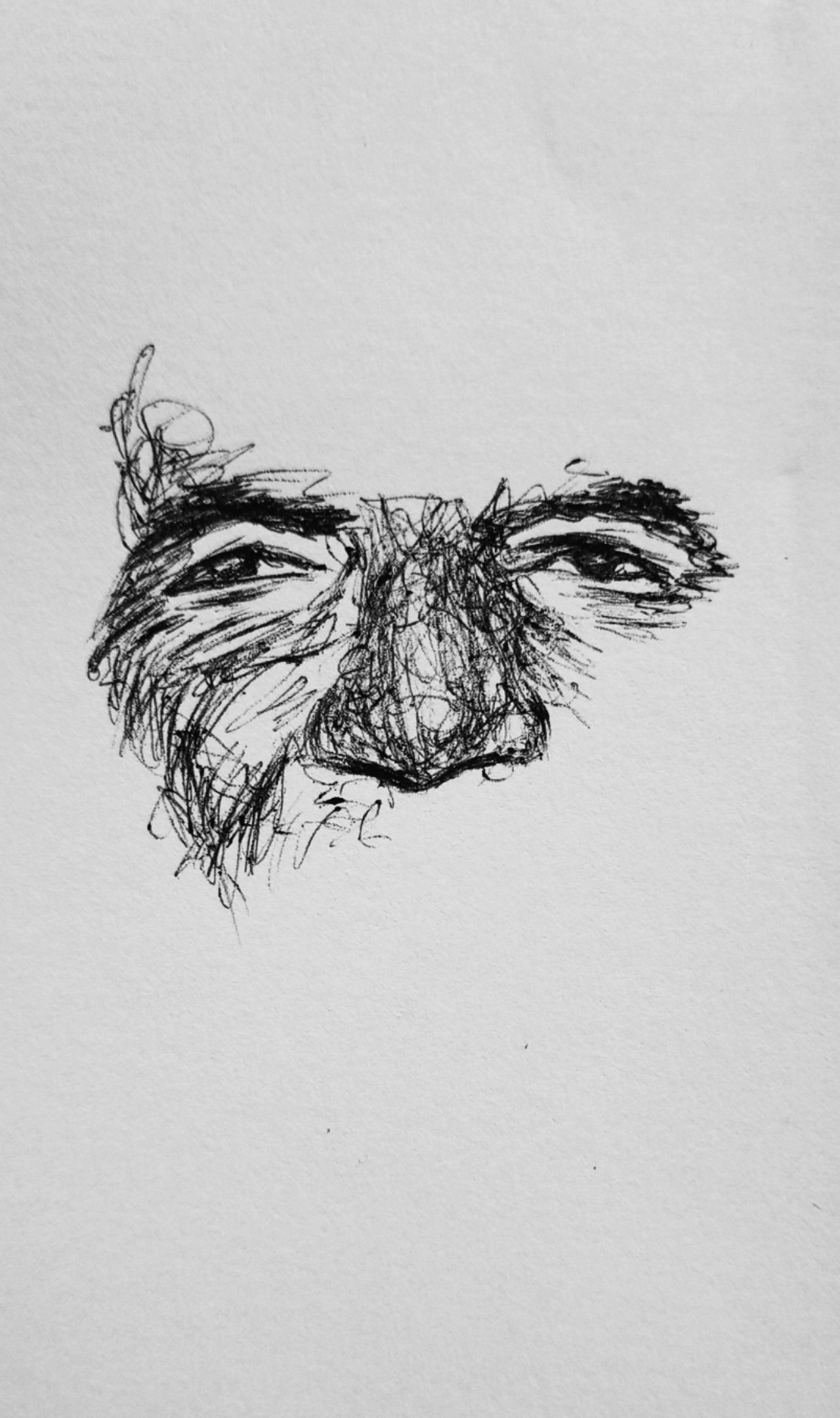 Scribble Drawing Of Simon Cowell