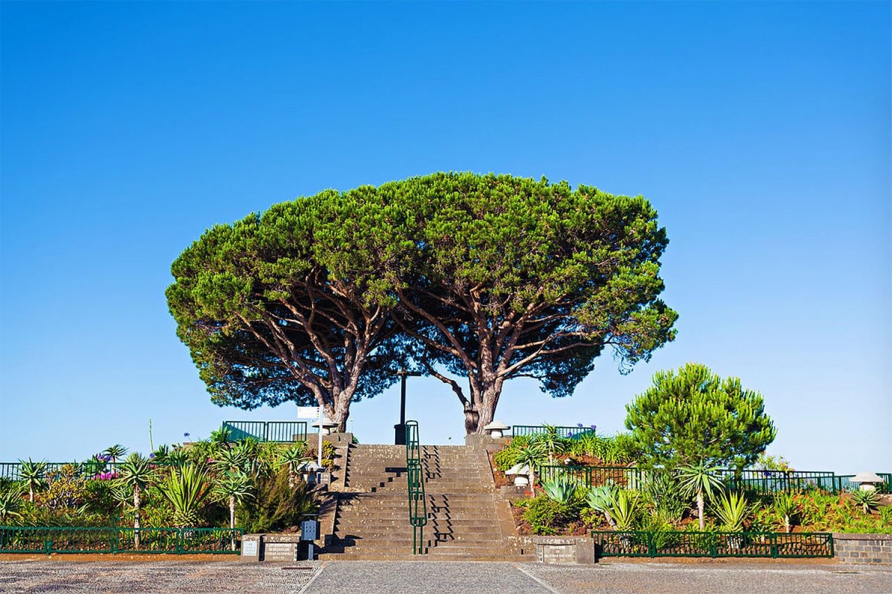 Trip Portugal - Curral das Freiras, Island Madeira