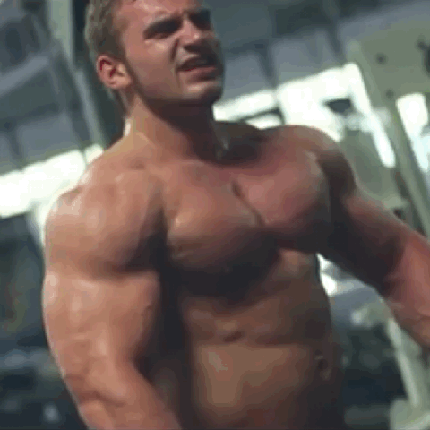 Bodybuilding Gifs — Hive