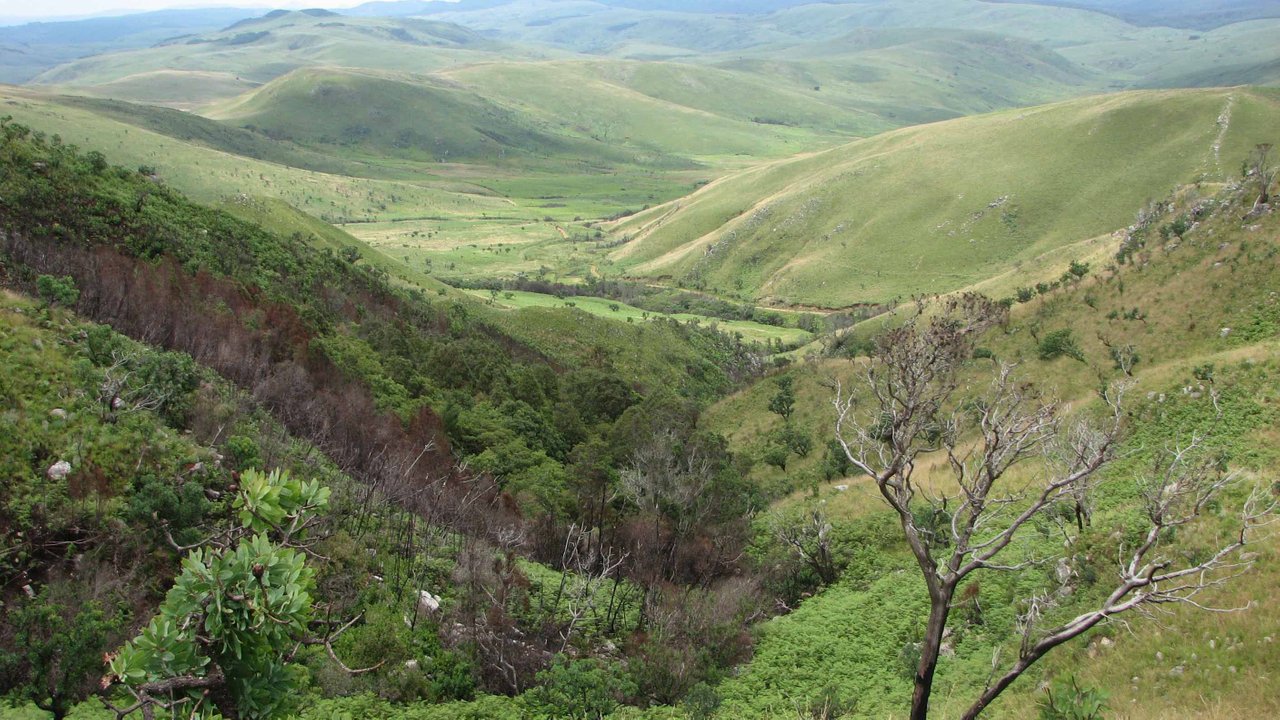 Zimbabwe Nyanga National Park