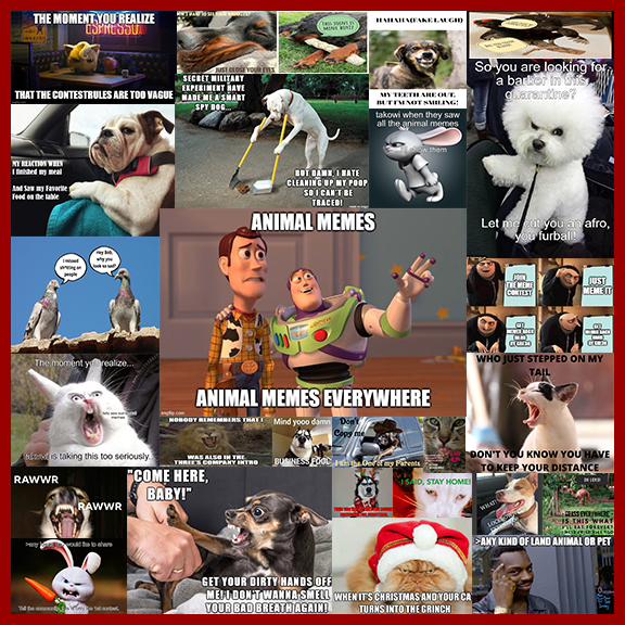 Meme Contest - 16 DAYS LEFT! - 10 places WIN HIVE! & We need your input ...