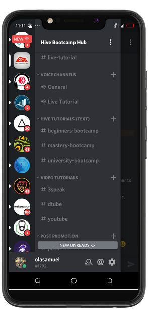 A Sneak Peak Into Our Discord SERVER, The CATEGORIES and CHANNELS | PeakD