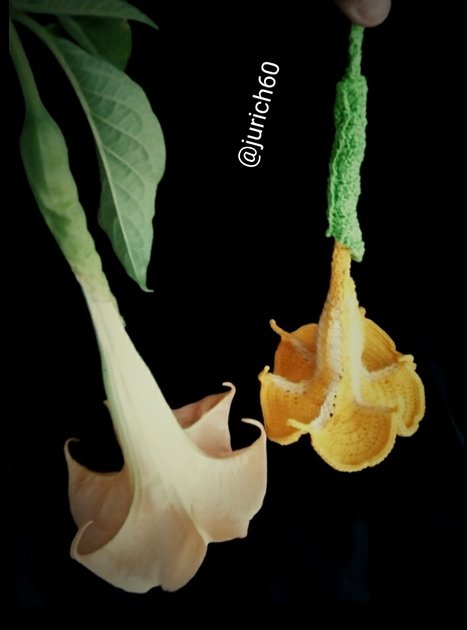 NEEDLEWORKMONDAY: COPYING NATURE "TALAMPUNAY" | PeakD