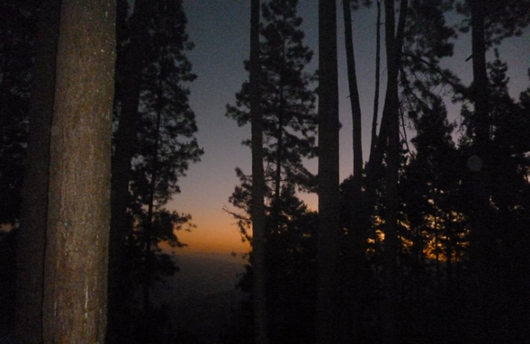 VENEZUELA: Conociendo Bosque de Pinos|| VENEZUELA: VIsiting Pine Forest ...