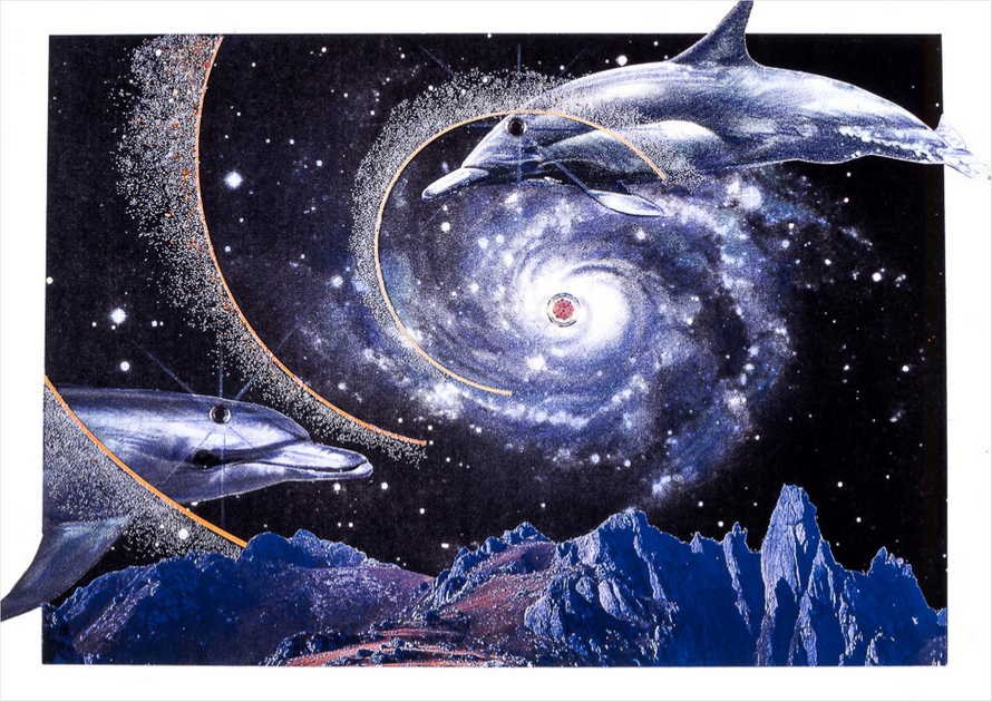 Dolphin Magic. Art. Collage. Photography. | PeakD