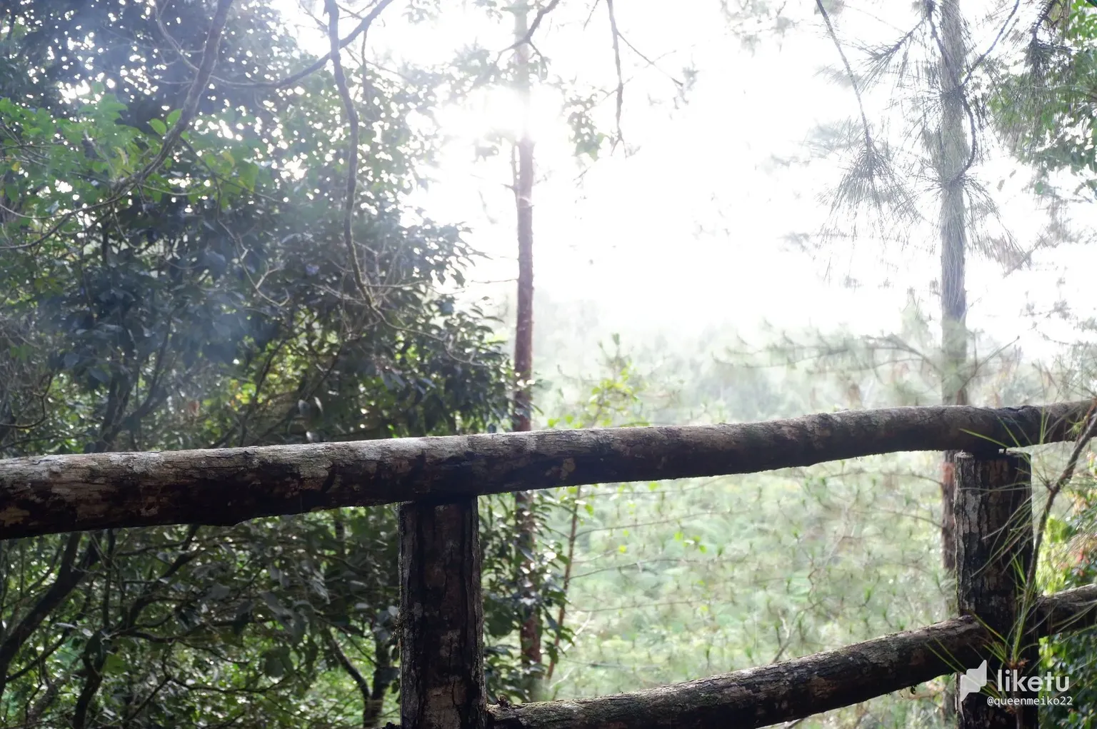 An afternoon at Cecilia's Plate. — Hive