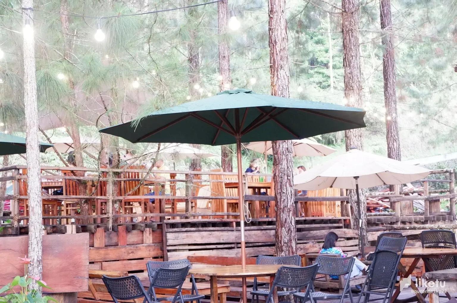 An afternoon at Cecilia's Plate. — Hive