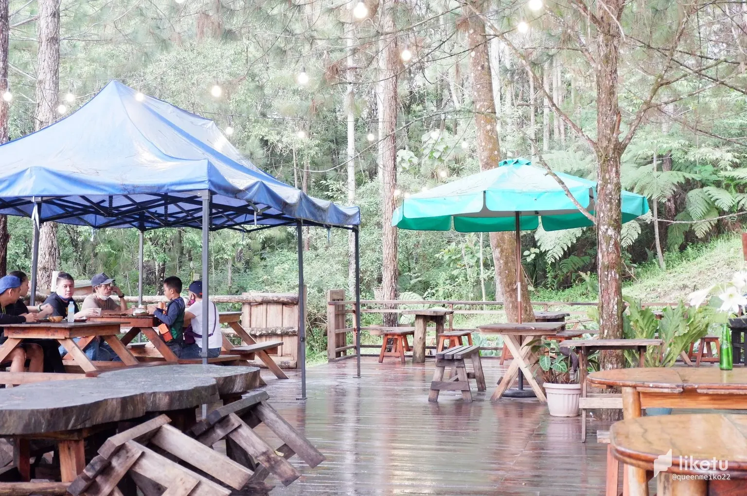 An afternoon at Cecilia's Plate. — Hive