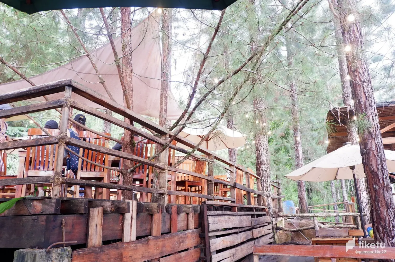 An afternoon at Cecilia's Plate. — Hive