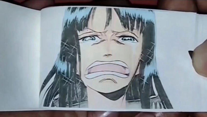 Nico Robin Says I Want To Live Flipbook Luffy And Straw Hat Crew Saves Robin One Piece