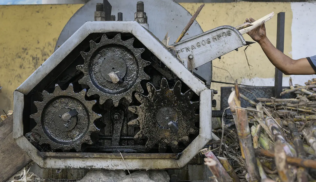 Photo: Process of Making Sugar Cane in Venezuela — Hive