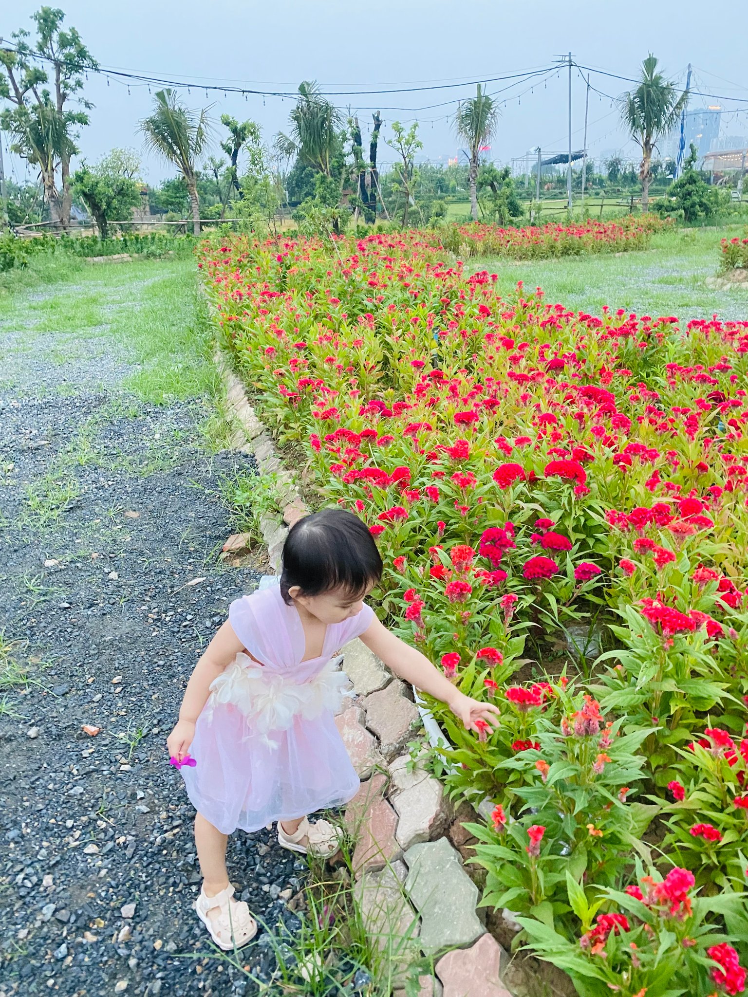 TREEBEE COFFEE - SPACE TO RELAX ENJOY — Hive