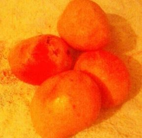 EL MANGO Y SUS VARIEDADES EN VENEZUELA — Hive