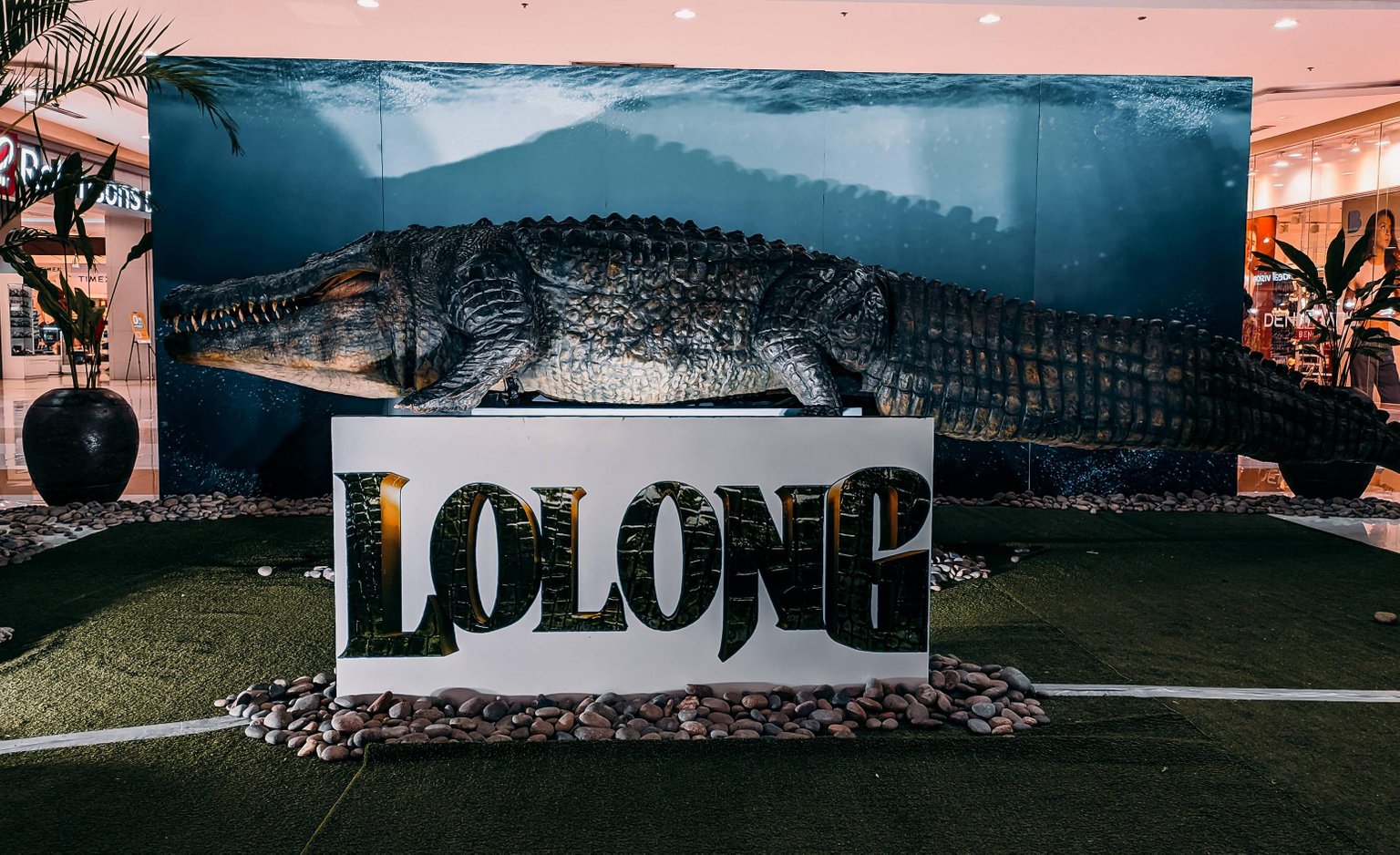 Lolong Size