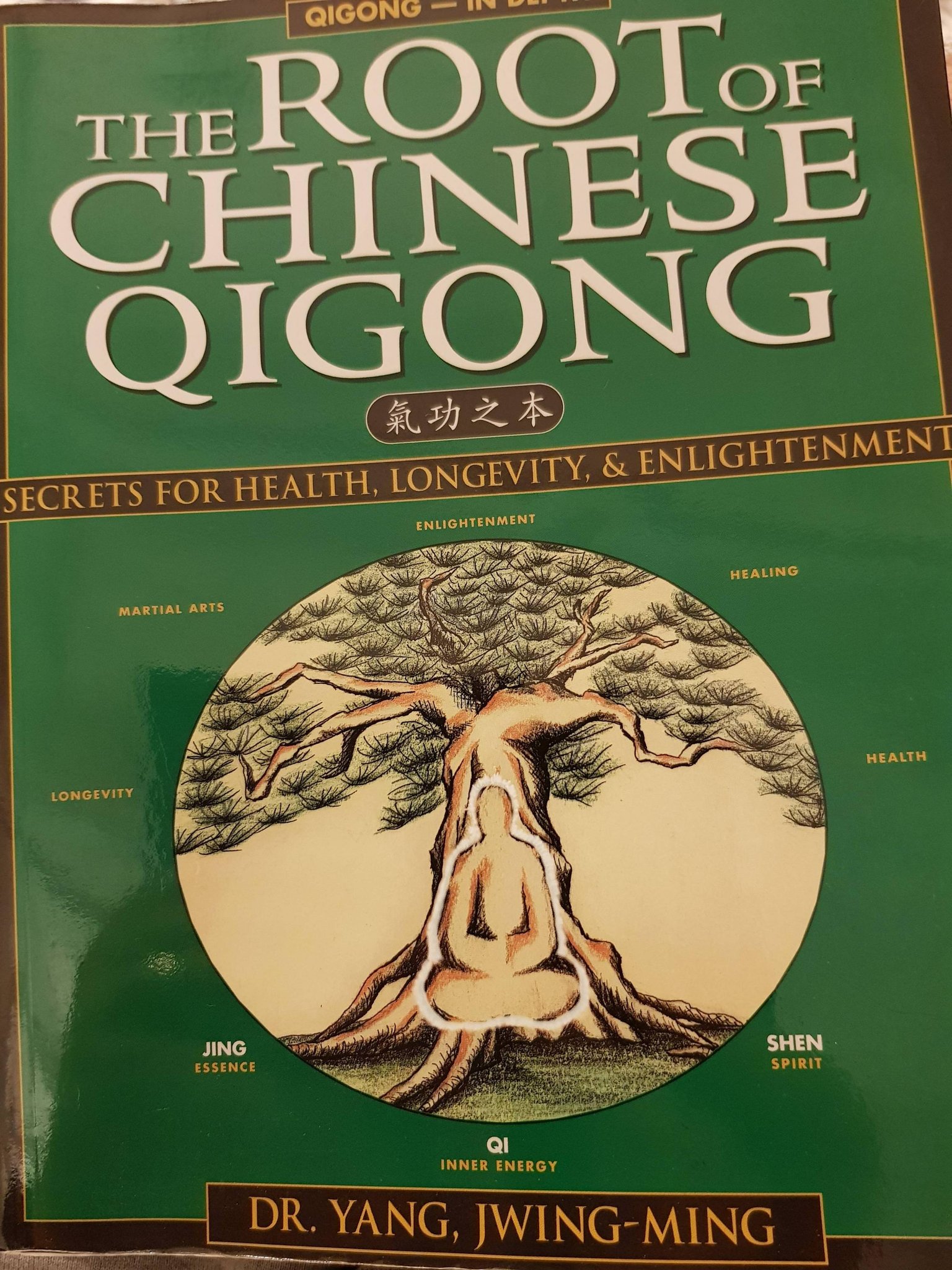 Book Review: The Root of Chinese Qigong — Hive
