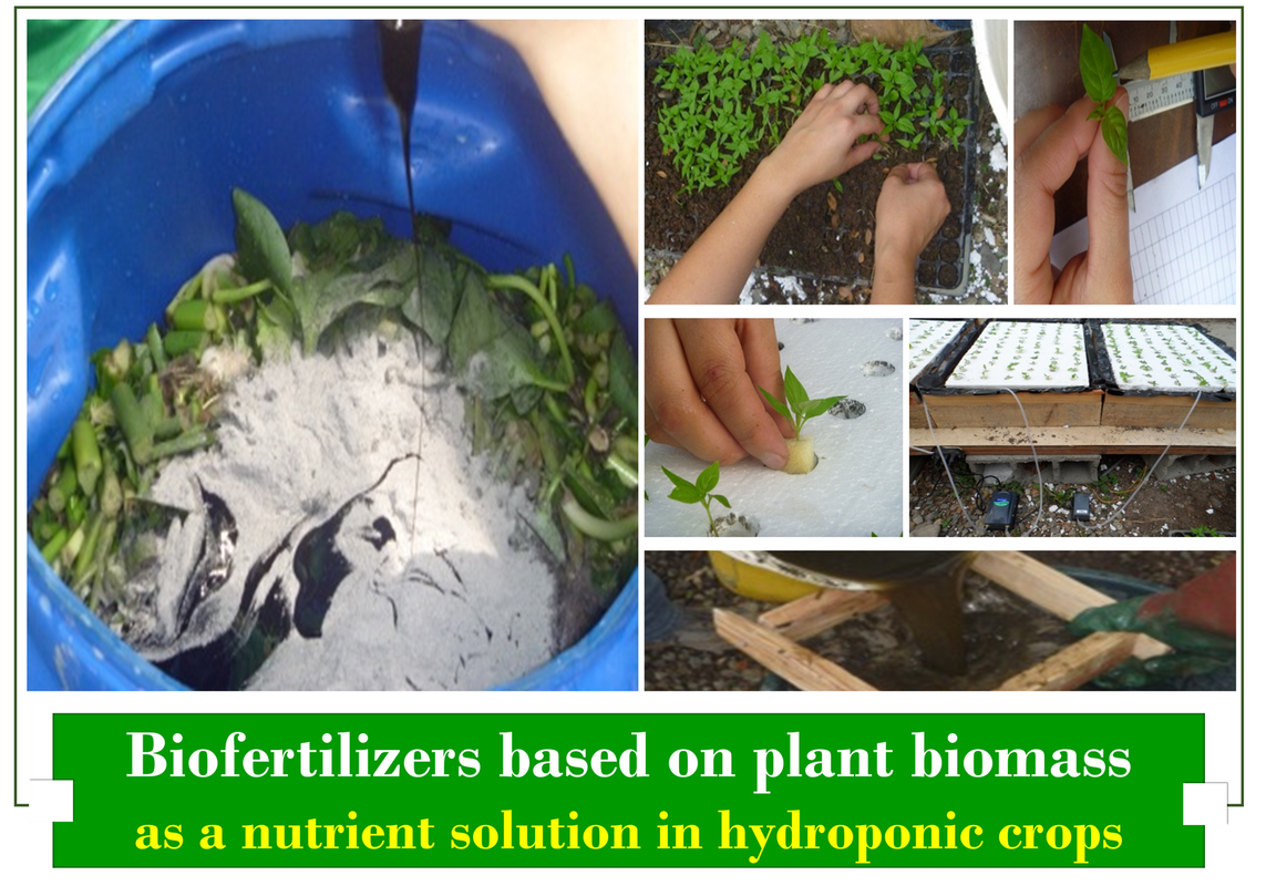 Biofertilizers based on plant biomass as a nutrient solution in ...