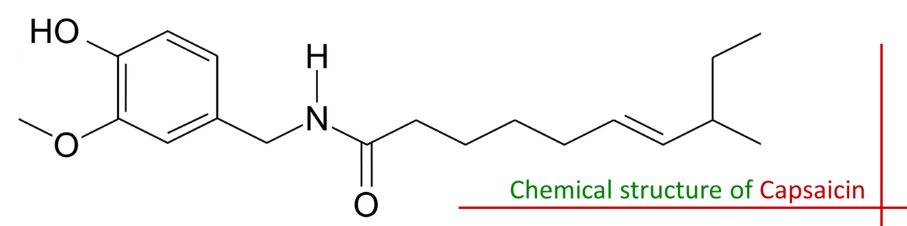 Phytopharmacological properties of Capsicum annum specimens (Sweet ...