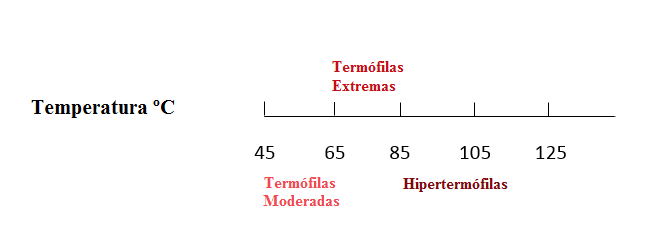 ARCHAEAS: Clasificación según su modo de vida — Hive