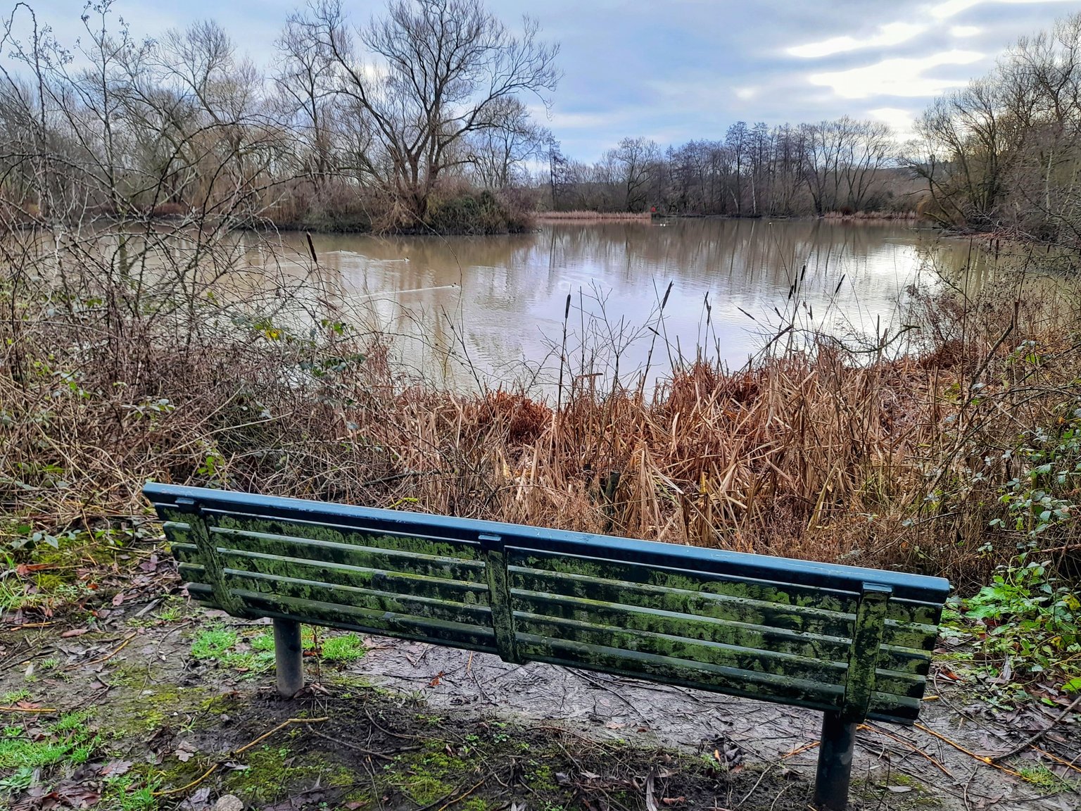 A Mooch Around McGregor's Pond: Circular Walk — Hive