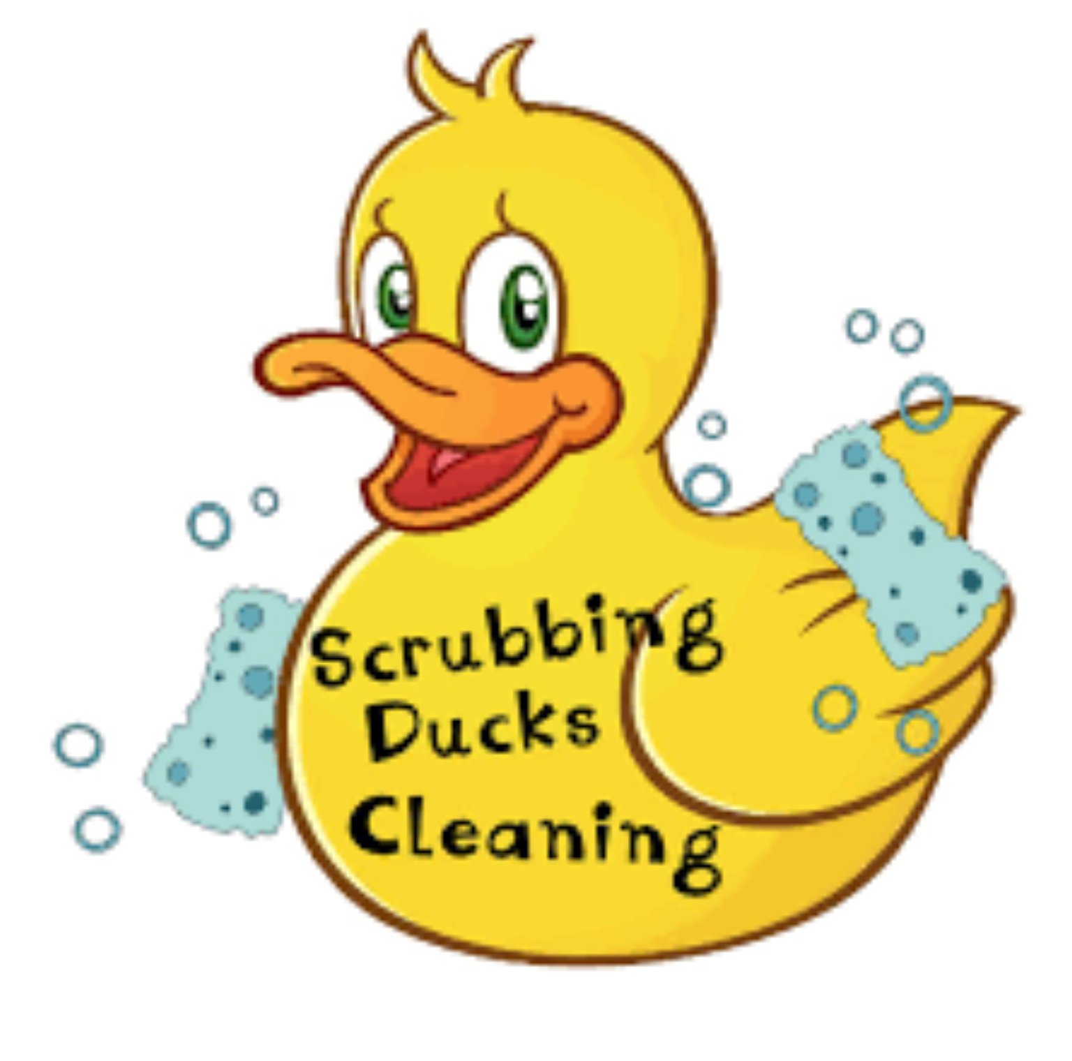 Duck Cleaning Service ??? 🦆 — Hive