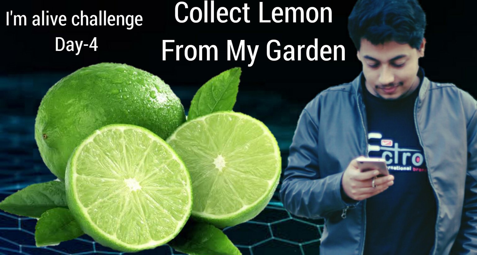 Collect Lemon From My Garden || Stay Home - Stay Safe || I'm Alive ...