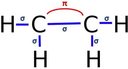 Cicloalquenos. Propiedades y reacciones — Hive
