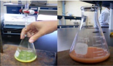 Chemical indicators. Function and examples — Hive