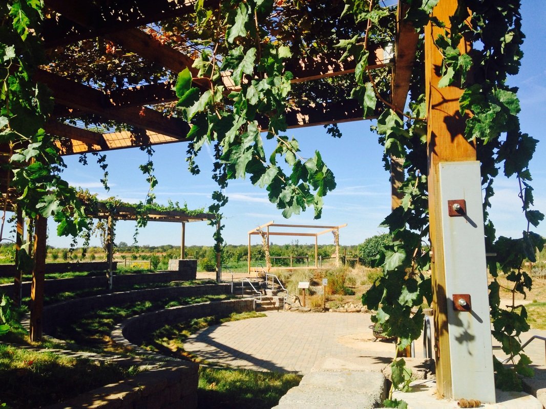 My Experience At California's Soil Born Farms - A Peak Into An Organic ...