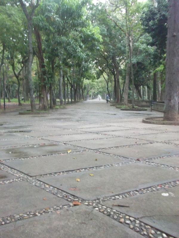 Visita inesperada al Parque los Caobos — Hive