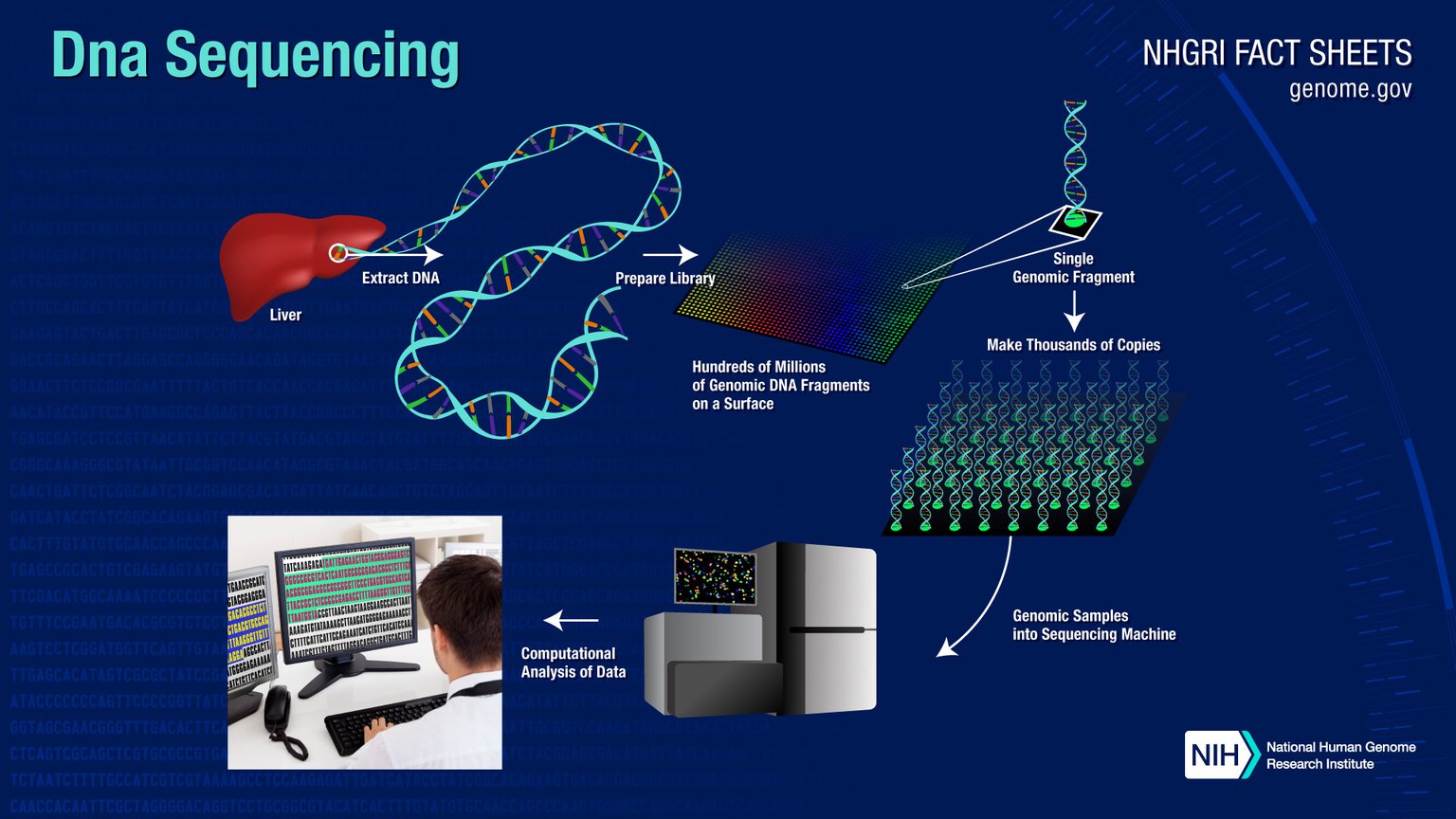 Sequencing your DNA with a USB dongle and open source code/Secuencia tu ...