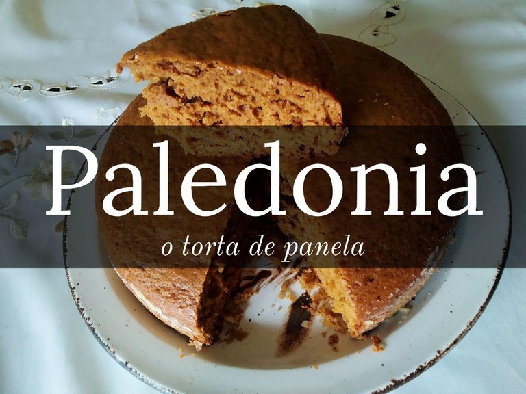 Paledonia o torta de panela | Sabores tradicionales — Hive