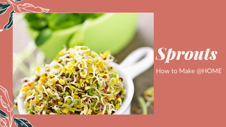 Make Sprouts @Home - A Natural & Simple Process of Making Healthy ...