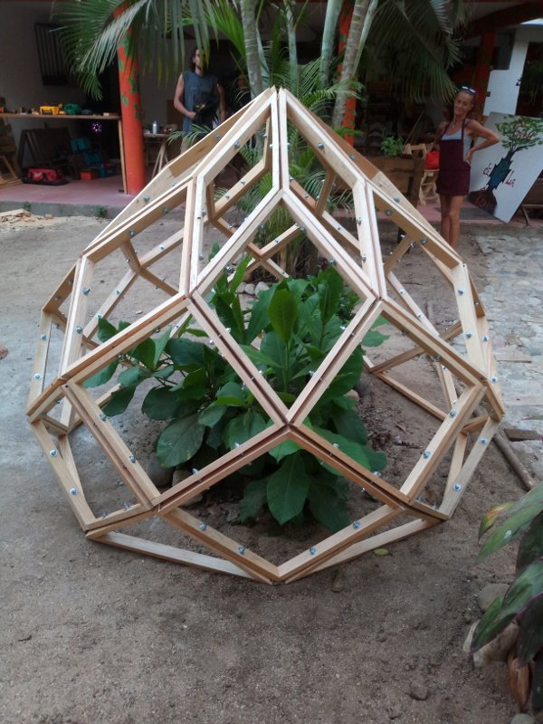 Zome Building Workshop in Mazunte — Hive